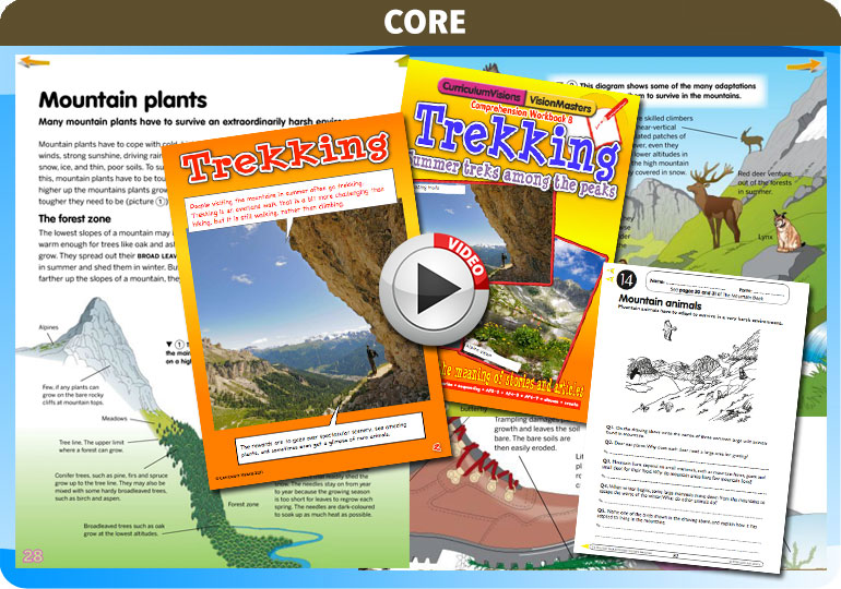 Curriculum Visions