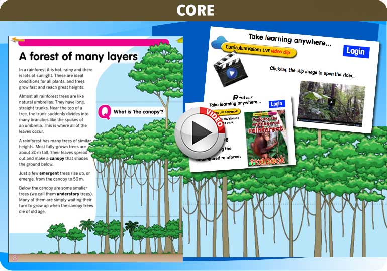 Curriculum Visions