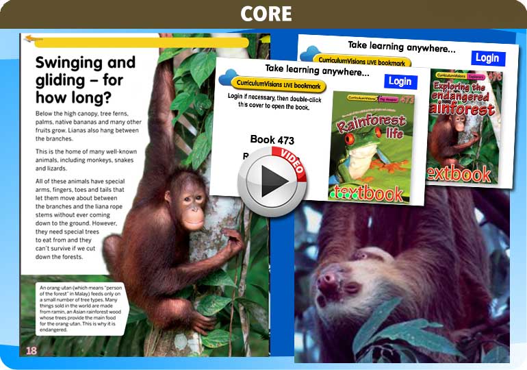Curriculum Visions